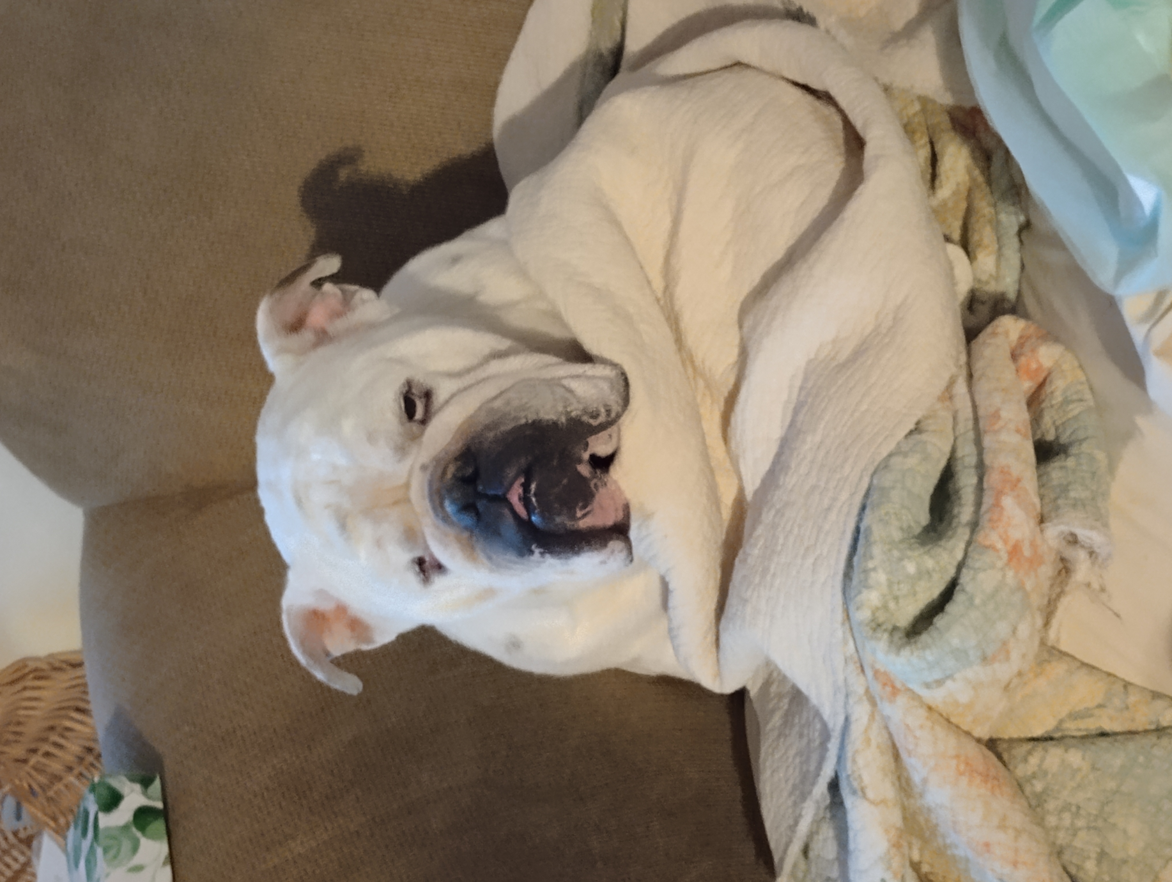 Miranda Reitz (@MirandaReitz) - Arthub.ai